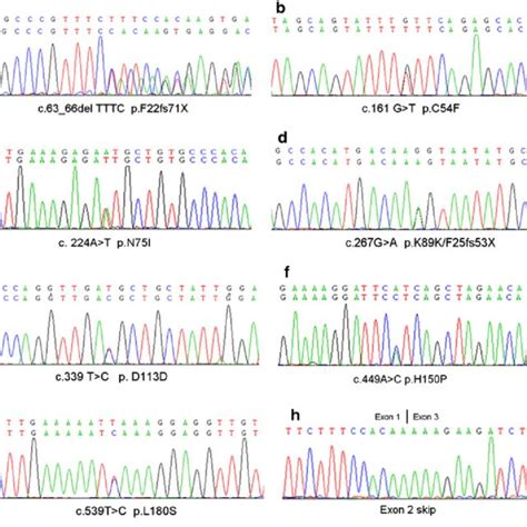 Sequencing Histogram Of All Identified Mutations A C6366del Tttc