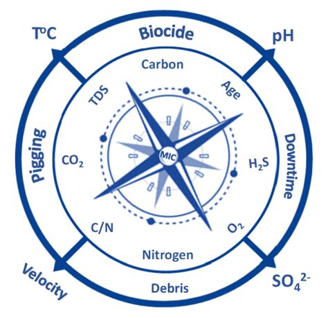 Mic Compass® Recommended Software For Modeling And Prediction Of Microbiologically Influenced