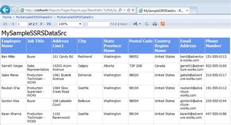 Using Source Data From An Ssrs Report In Powerpivot For Excel Excel