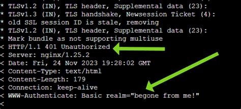 Webdock Enhancing Nginx Security With Ip Filtering And Password