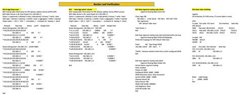 Implement VxLAN EVPN To MPLS SR Handoff In Nexus 9000 Cisco