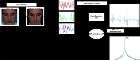 The Workflow Of The Proposed Method For Heart Rate Estimation