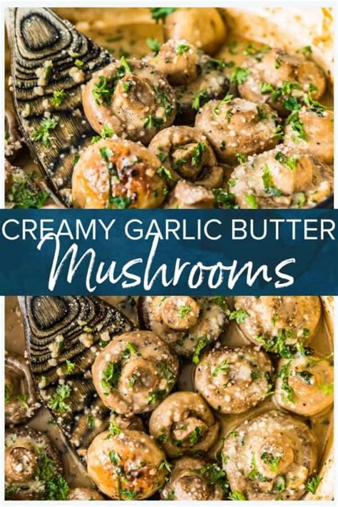 Creamy Garlic Mushrooms Recipe The Cookie Rookie® Video