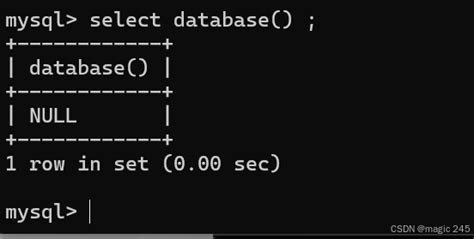 Sql 全面指南：从基础语法到高级查询与权限控制数据库的基本sql语法和高级查询 Csdn博客