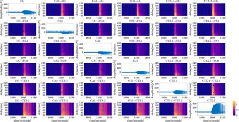 Causality Detection Based On M Optns For Mea Data From Slice No 3 Download Scientific Diagram