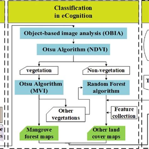The Workflow Of The Mangrove Forests And Other Land Covers
