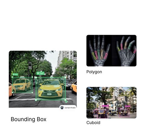 Image Annotation Services Data Vision