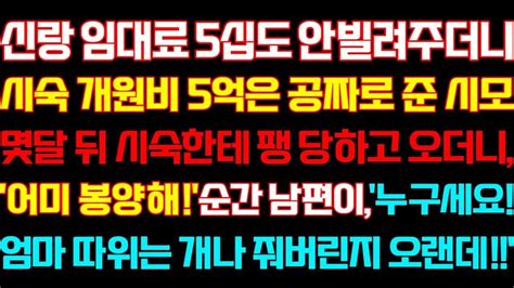 반전 신청사연 신랑 임대료5십도 안빌려주더니 시숙 개원비5억은 공짜로준 시모시숙한테 팽당하고 오자누구세요엄마따윈 개나줘버린지 오랜데실화사연낭독드라마라디오