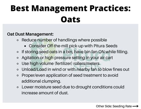 Best Management Practices Oats — Pitura Seeds