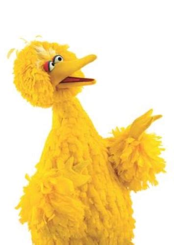 Big Bird Fan Casting For Chuck E Cheeses Big Musical Movie Mycast