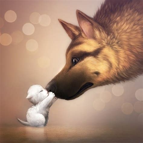 😮 — Ето я — жената която скоро ще дари нов живот на нашето семейство Свекървата дойде на