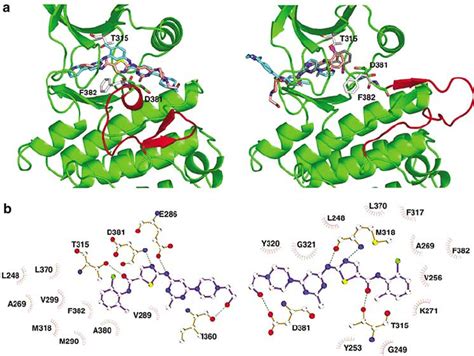 A Ribbon Representation Of The Structure Of The Abl Kinase Domain