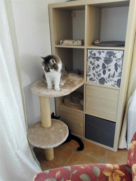 21 Best Ikea Kallax Inserts Not From Ikea Artofit 21 Best Ikea Kallax Inserts Not From Ikea Artofit