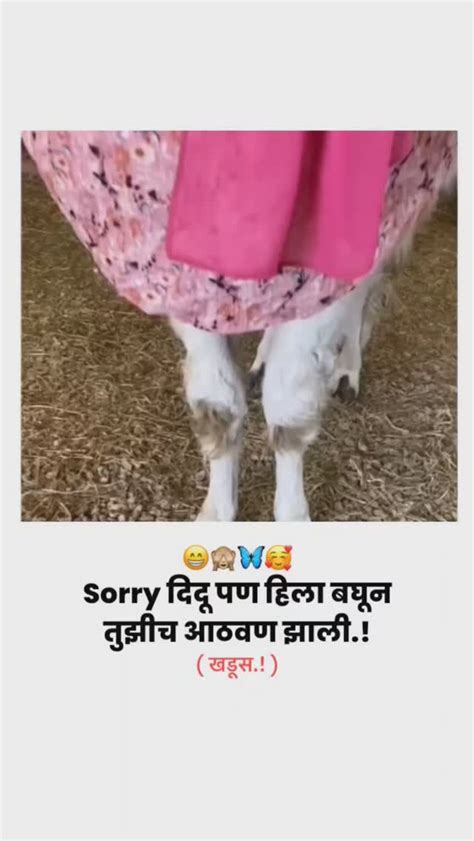 亗Ꮢᴏʏᴀʟ👑🦅 S H A R E Instagram