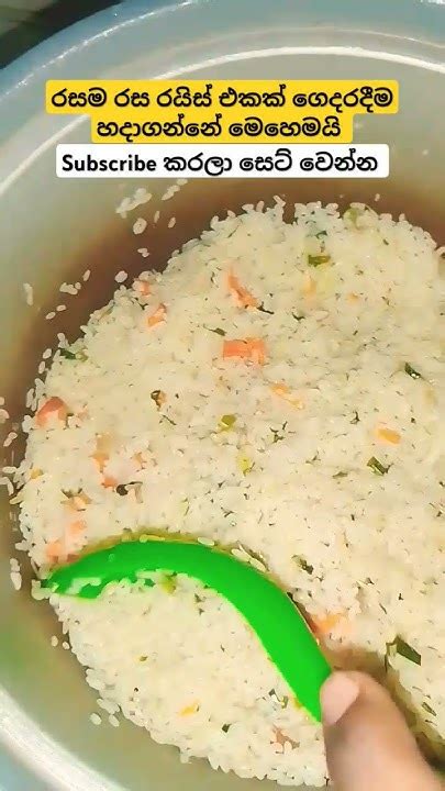 රසම රස රයිස් එකක් ⁣ගෙදරදීම 😋😋🤩🤩 Youtube