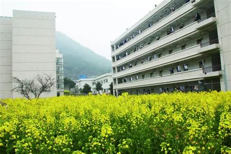 重磅消息：玉环市中等职业技术学校19年招生讯息公布啦！就业