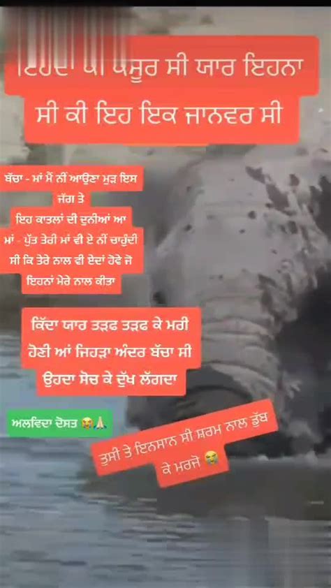 📱 ਵਟਸਐਪ ਸਟੇਟਸ Sharechat ਪੰਜਾਬੀ Happy6284800142 📱 ਵਟਸਐਪ ਸਟੇਟਸ 💖