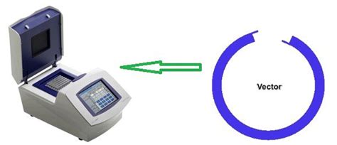 Introduction To Recombinant Dna Rdna Technology Genetic Engineering Microbiology Class