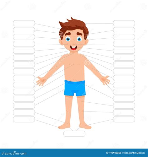My Body Poster Cute Kid Boy Shows His Body Parts Medical Anatomy Chart Stock Vector