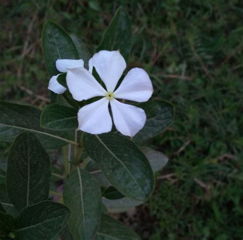 Bd Hacker Gaming Community Official