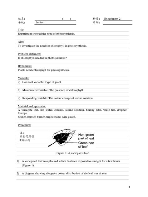 Experiment 2 生化 Pdf