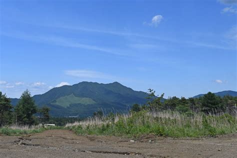 高原の鳥さん野鶲頬赤他 風のむろさん 自然の詩