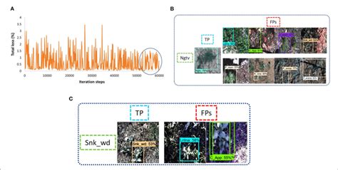 Performance Of The Region Based Fully Convolutional Network Rfcn Download Scientific