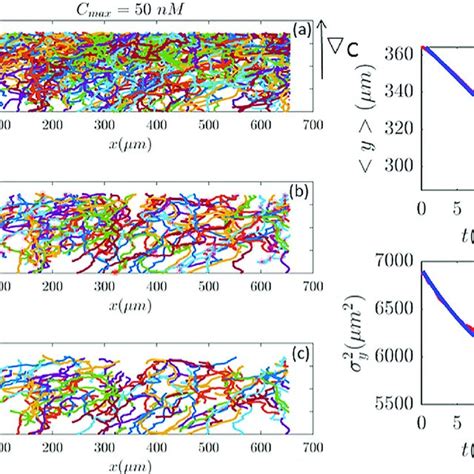 A Trajectories Of Three Different Experiments Recorded At The Same