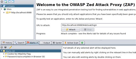 Zap Baseline Py I O Error 5 Zap Failed To Access {0} Format Target · Issue 5339 · Zaproxy