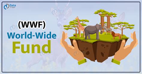 Full Form of WWF - DataFlair