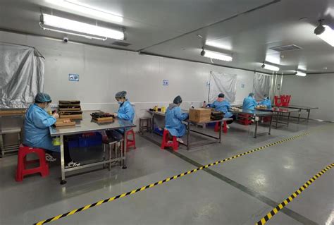 Wholesale Manicure Nail Art Painting Supplier Private Label 60 Colors