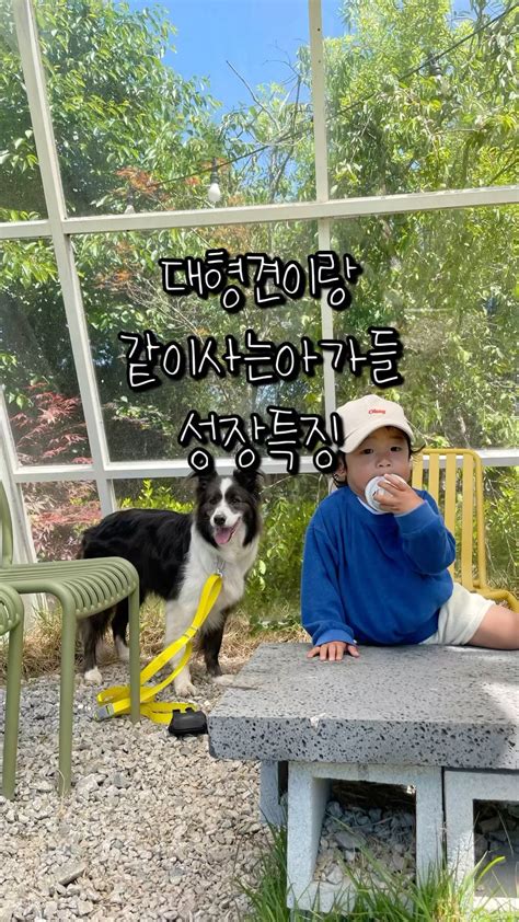 임연식 해솔이네 과채주스 쉬울리없는 애개육아 대형견과아기 애개육아 애개를 독박육아하는데 그랑이는 또 실외배변이거든요