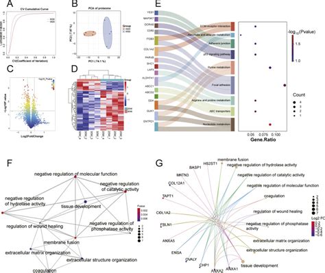 Transcriptome And Proteome Profile Analysis Of The Regulation Of Chicken Ovarian Development Pmc