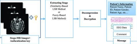 Extracting Message Using The Proposed Model Download Scientific Diagram