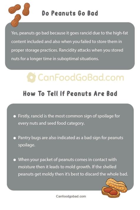 Understand The Expiry Of Peanuts Can They Go Bad Can Food Go Bad