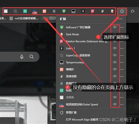 那些Edge浏览器的神仙插件 edge monica CSDN博客
