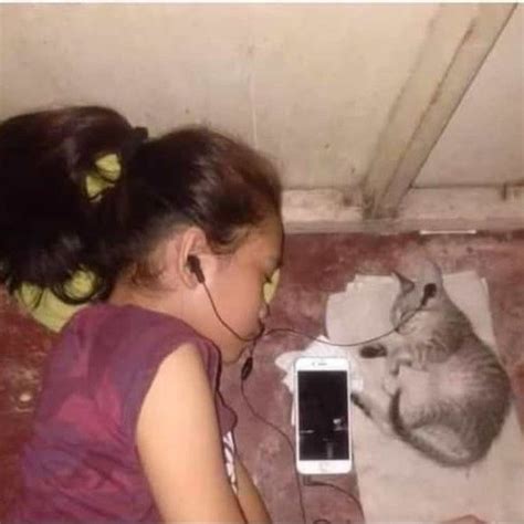 Meet Your Posher Austin Funny Poses Cat Memes Memes