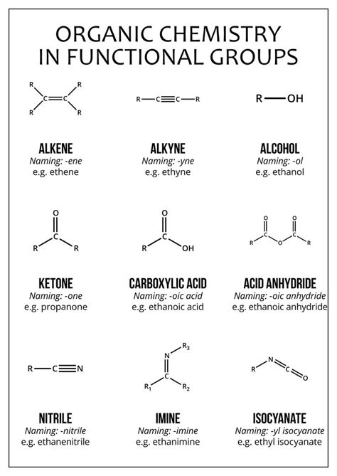 Naming Functional Groups Practice Worksheet