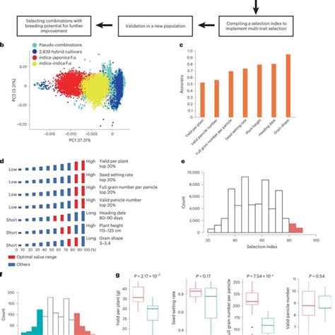 Construction And Validation Of The Genomic Selection Model For Hybrid Download Scientific