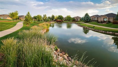 Retention Pond In Suburban Neighborhood Designed To Capture And Slowly
