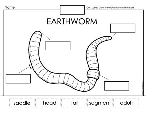 Earthworm Spring Science Label Sheet Kindergarten And First Grade