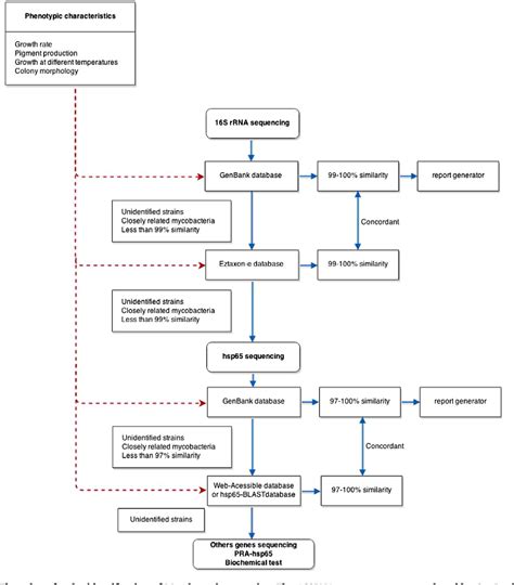 Figure 1 From Identification Of Nontuberculous Mycobacteria By Partial Gene Sequencing And