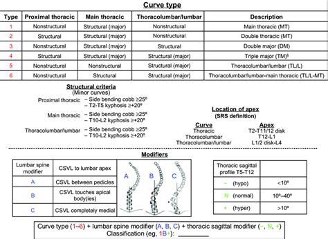 The Tether Anterior Vertebral Body Tethering System Avbt I Am A Surgeon Lenke Classification