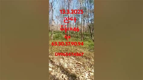 2d ကိုမောင်နောင်ကာလား 13 3 2025 ညနေ။4။30 Youtube