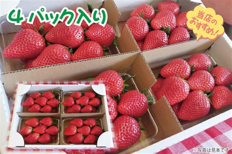 地方発送承ります 太田観光農園いちご狩り販売 埼玉秩父
