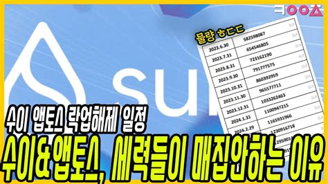 수이코인 보유하신 분 필수 시청 수이의 위기 락업해제 Youtube