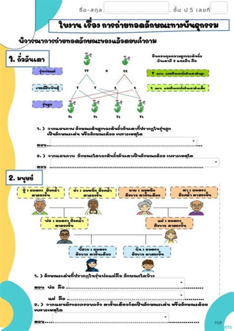 การถ่ายทอดลักษณะทางพันธุกรรม ใบงานเชิงโต้ตอบ Topworksheets