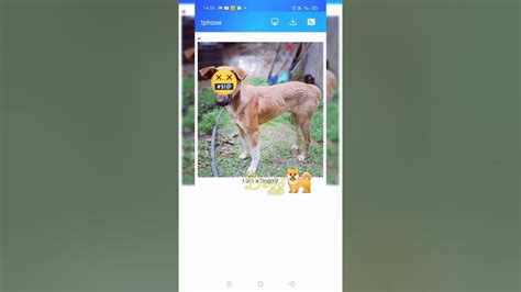 how to insert image in html insert image object in html code youtube