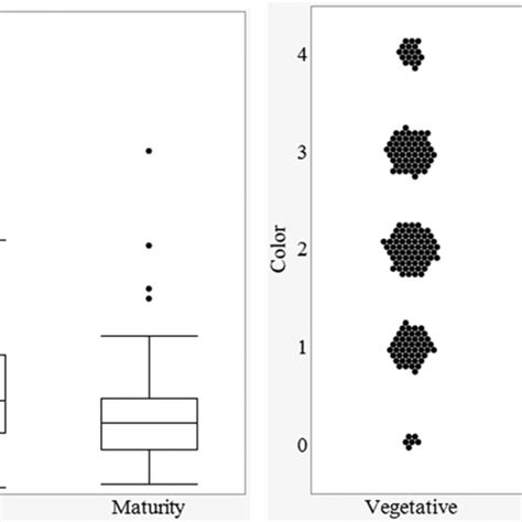 Comparison Between The Hcn‐p Distribution Across Growth Stages Of The