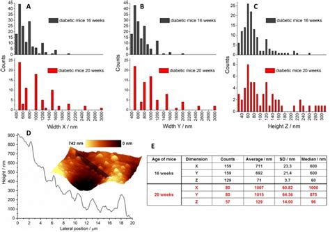 The X A Y B And Z C Dimensions Of LRs Observed For Weeks Old Download Scientific